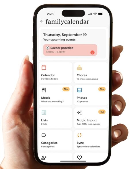 Is the Skylight calendar worth the splurge for big, busy families? We ...